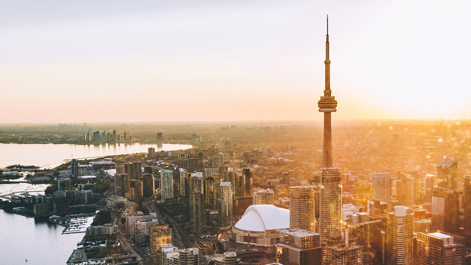 The Toronto International Film Festival: A Cinematic Extravaganza