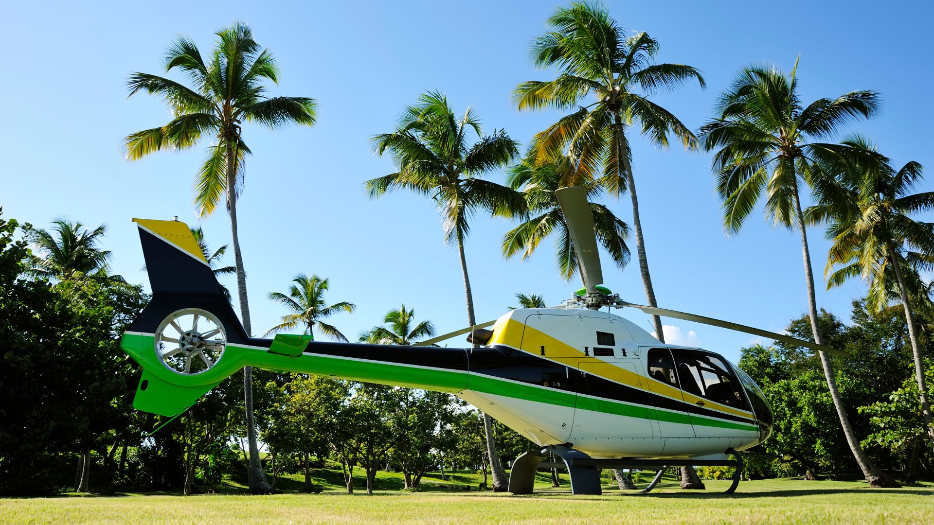 Helicopter Charter Ideas to Save You Time This Summer